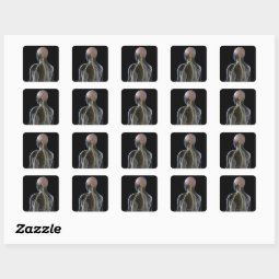Human Nervous System Square Sticker | Zazzle