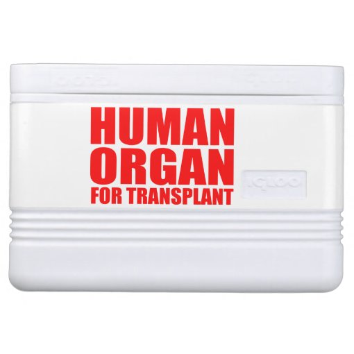 HUMAN ORGAN FOR TRANSPLANT DRINK COOLER | Zazzle