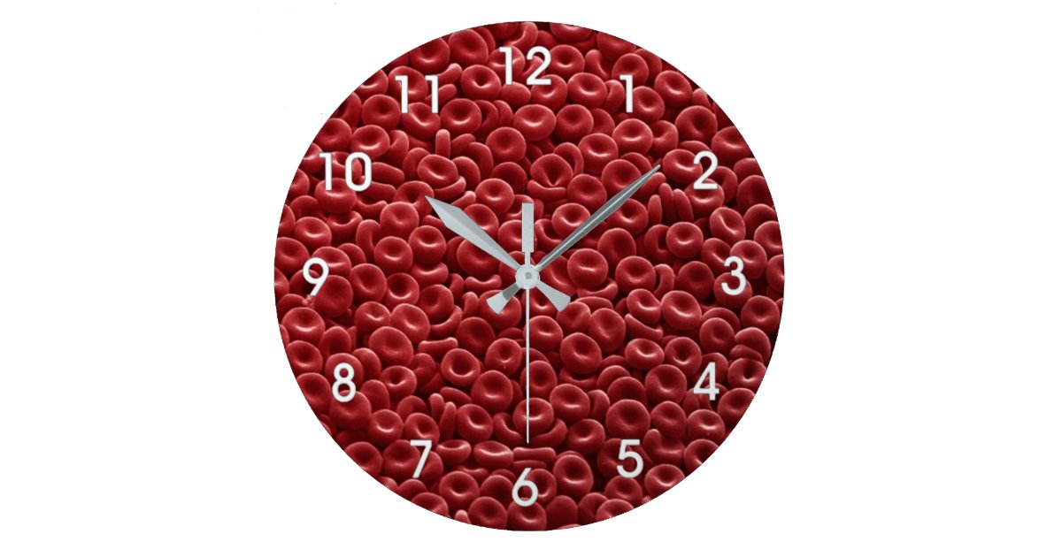 HUMAN RED BLOOD CELLS LARGE CLOCK | Zazzle.com