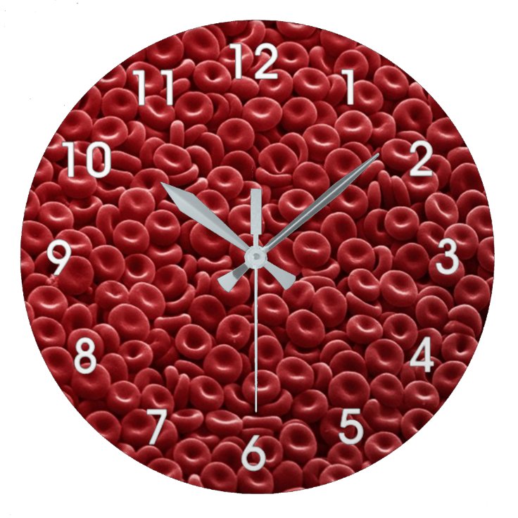 HUMAN RED BLOOD CELLS LARGE CLOCK | Zazzle
