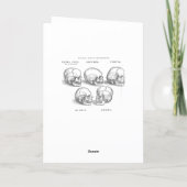 Human Skeleton Greeting Card | Zazzle