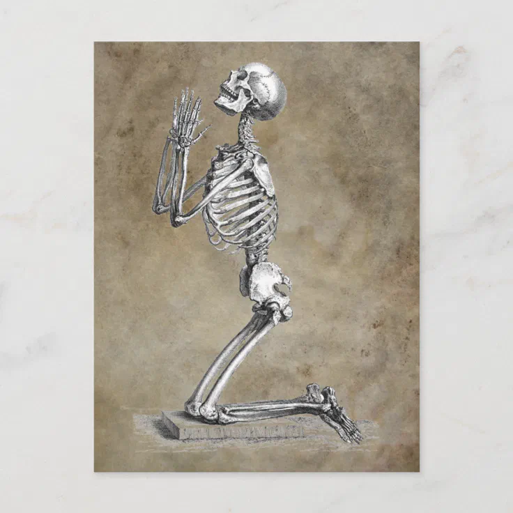 Human Skeleton Kneeling in Prayer Postcard | Zazzle