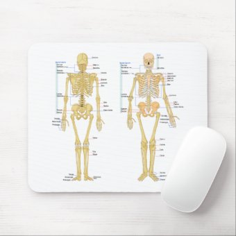 Human Skeleton labeled anatomy chart Mouse Pad | Zazzle