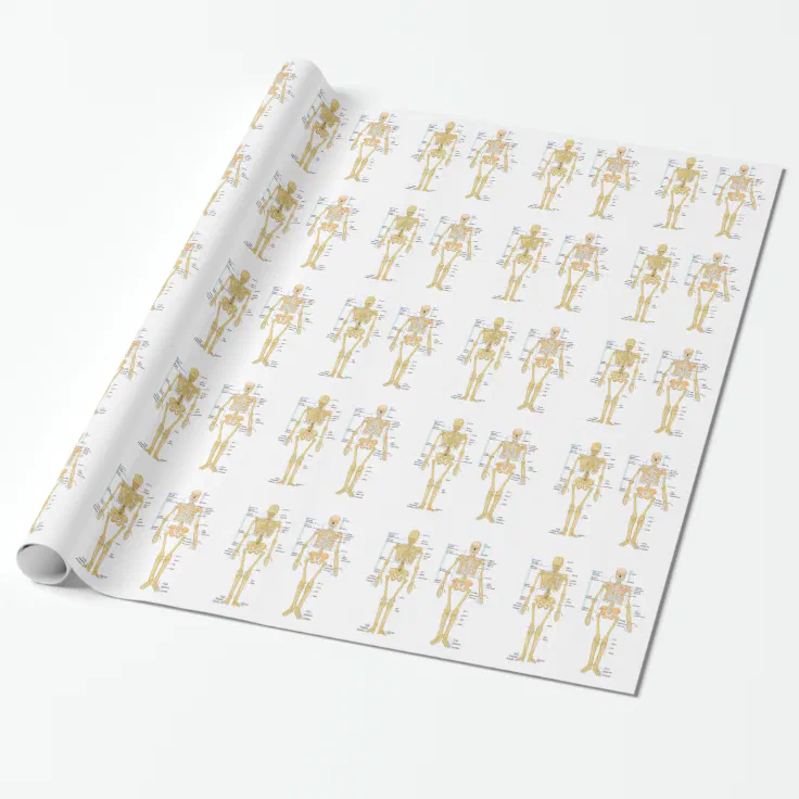 Human Skeleton labeled anatomy chart Wrapping Paper | Zazzle