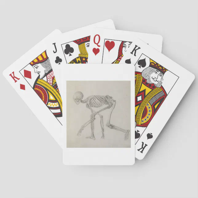 Human Skeleton: Lateral view in Crouching Posture, Poker Cards | Zazzle