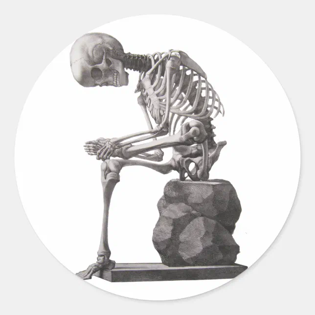 Human Skeleton Sitting Anatomy Art Classic Round Sticker | Zazzle