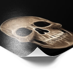 Human Skull Halloween X-Ray Skeleton Photo Print | Zazzle