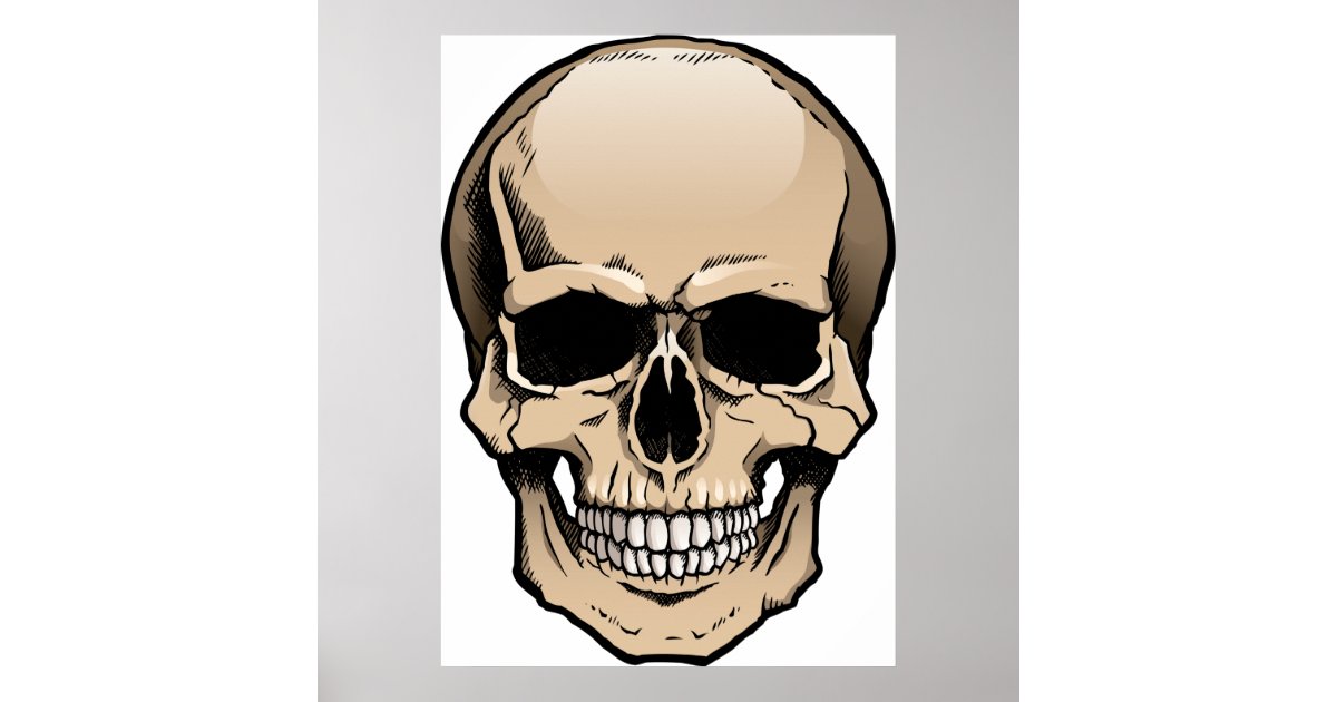 Human Skull Poster | Zazzle