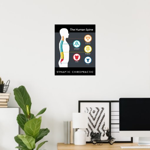 Human Spine Anatomy Chart Poster | Zazzle