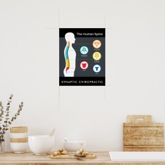 Human Spine Anatomy Chart Poster | Zazzle