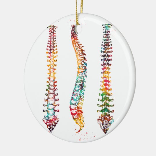Human Spine Ceramic Ornament | Zazzle.com