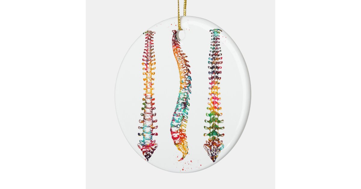 Human Spine Ceramic Ornament | Zazzle
