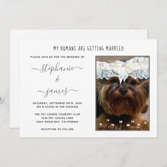Humans Getting Married Pet Lovers Photo Wedding Invitation | Zazzle