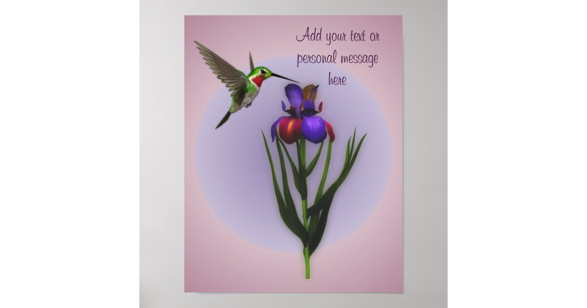 Hummingbird And Iris Flower Personalized Poster | Zazzle