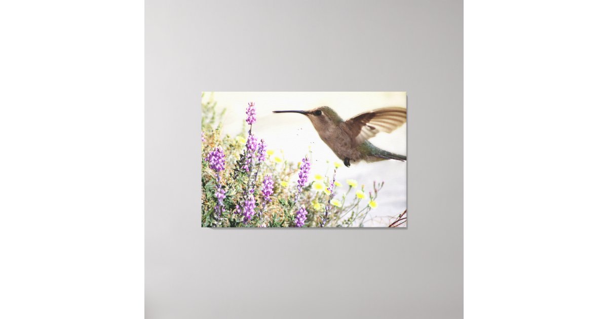 Hummingbird and Wildflowers Digital Art Canvas Print | Zazzle