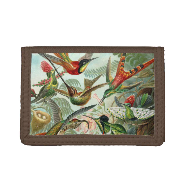 Hummingbird Antique Print Tri-fold Wallet | Zazzle