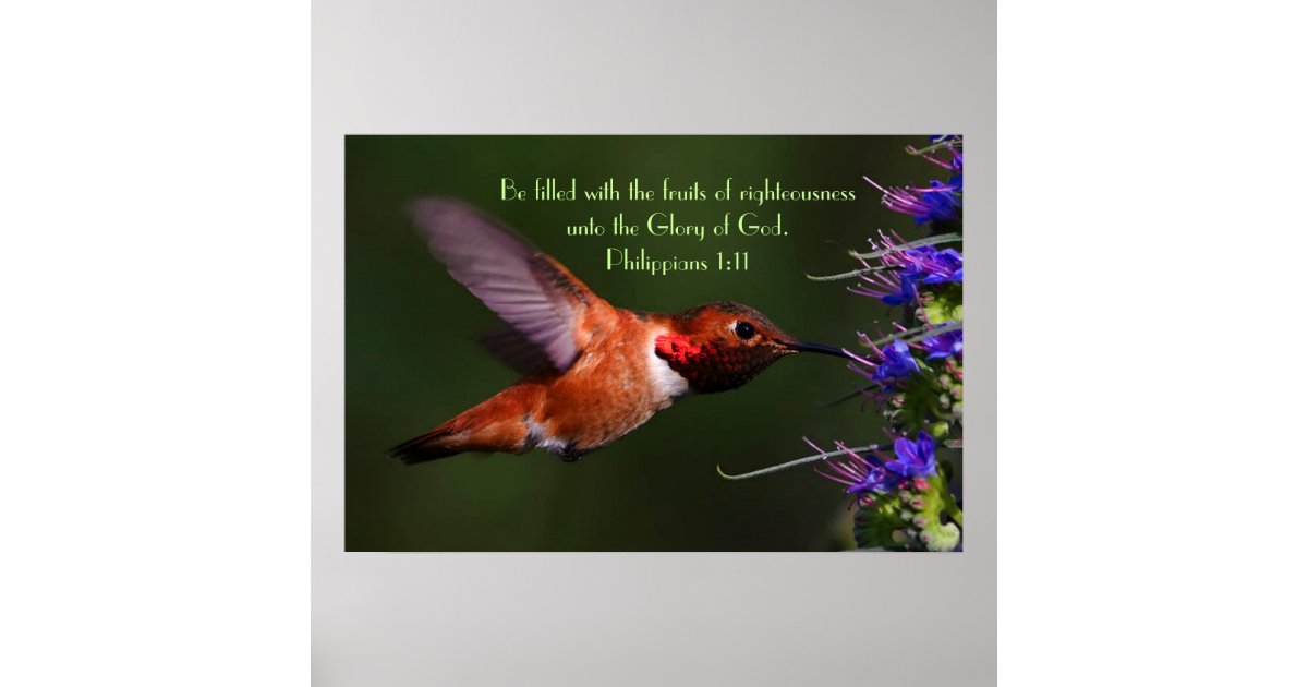 Hummingbird bible verse Philippians 1:11 Poster | Zazzle