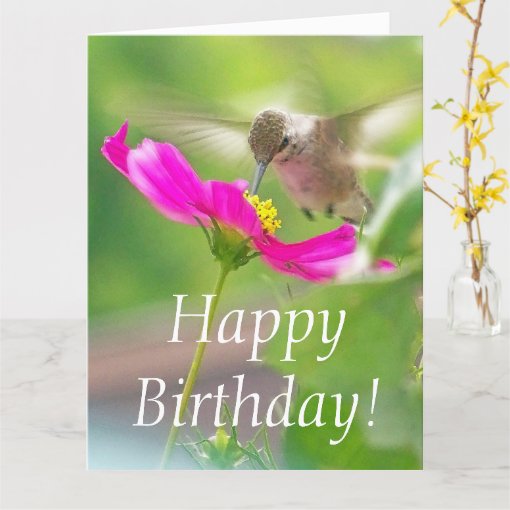 Hummingbird Bird Floral Birthday Big Greeting Card | Zazzle