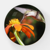 Hummingbird Bird Sunflower Flower Paperweight | Zazzle