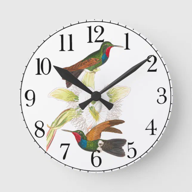 Hummingbird Bird Wildlife Floral Wall Clock | Zazzle