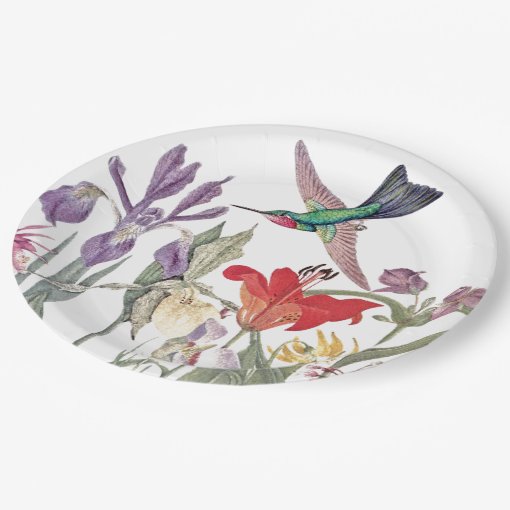 Hummingbird Birds Animals Flowers Paper Plates | Zazzle