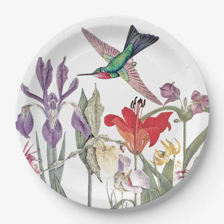 Hummingbird Birds Animals Flowers Paper Plates | Zazzle