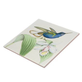 Hummingbird Birds Flowers Floral Wildlife Animals Tile | Zazzle