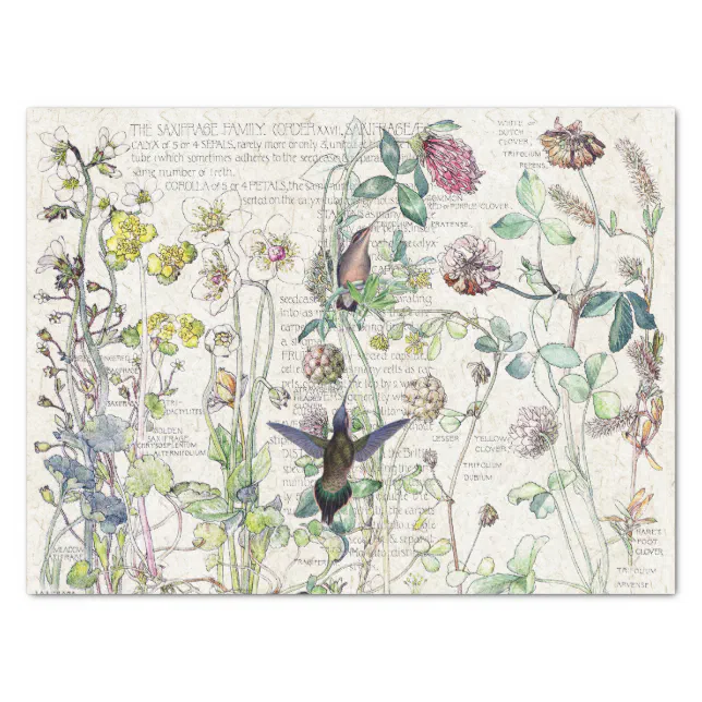 Hummingbird Birds Wildflower Flowers Tissue Paper | Zazzle