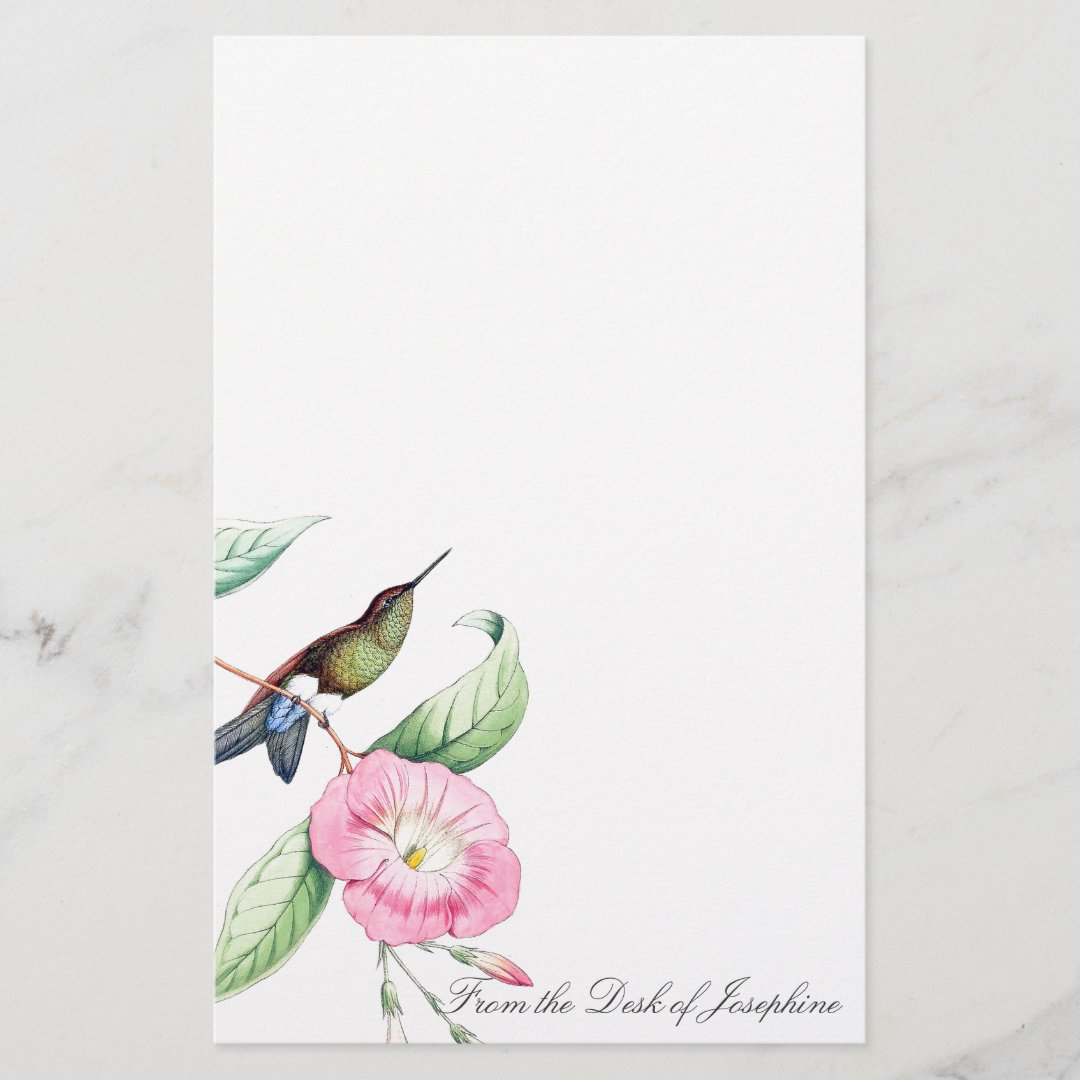 Hummingbird Birds Wildlife Animals Stationery | Zazzle