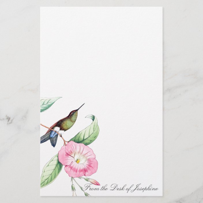 Hummingbird Birds Wildlife Animals Stationery | Zazzle.com