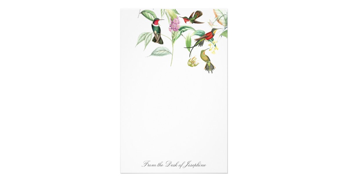 Hummingbird Birds Wildlife Floral Stationery | Zazzle.com