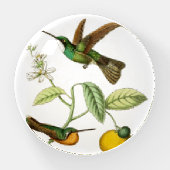 Hummingbird Birds Wildlife Flower Paperweight | Zazzle