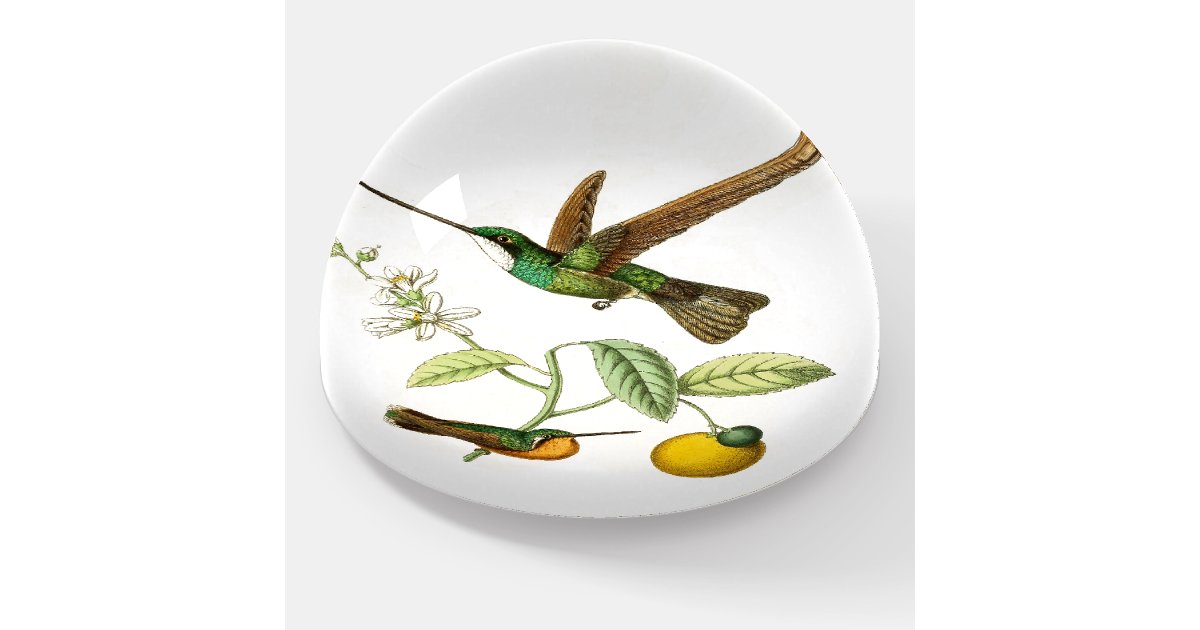 Hummingbird Birds Wildlife Flower Paperweight | Zazzle
