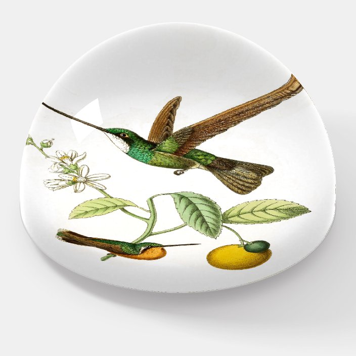 Hummingbird Birds Wildlife Flower Paperweight | Zazzle.com