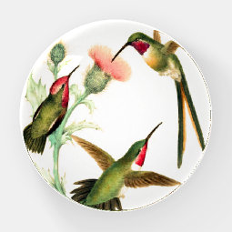 Hummingbird Birds Wildlife Flower Paperweight | Zazzle