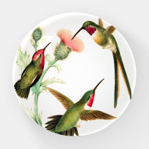 Hummingbird Birds Wildlife Flower Paperweight | Zazzle