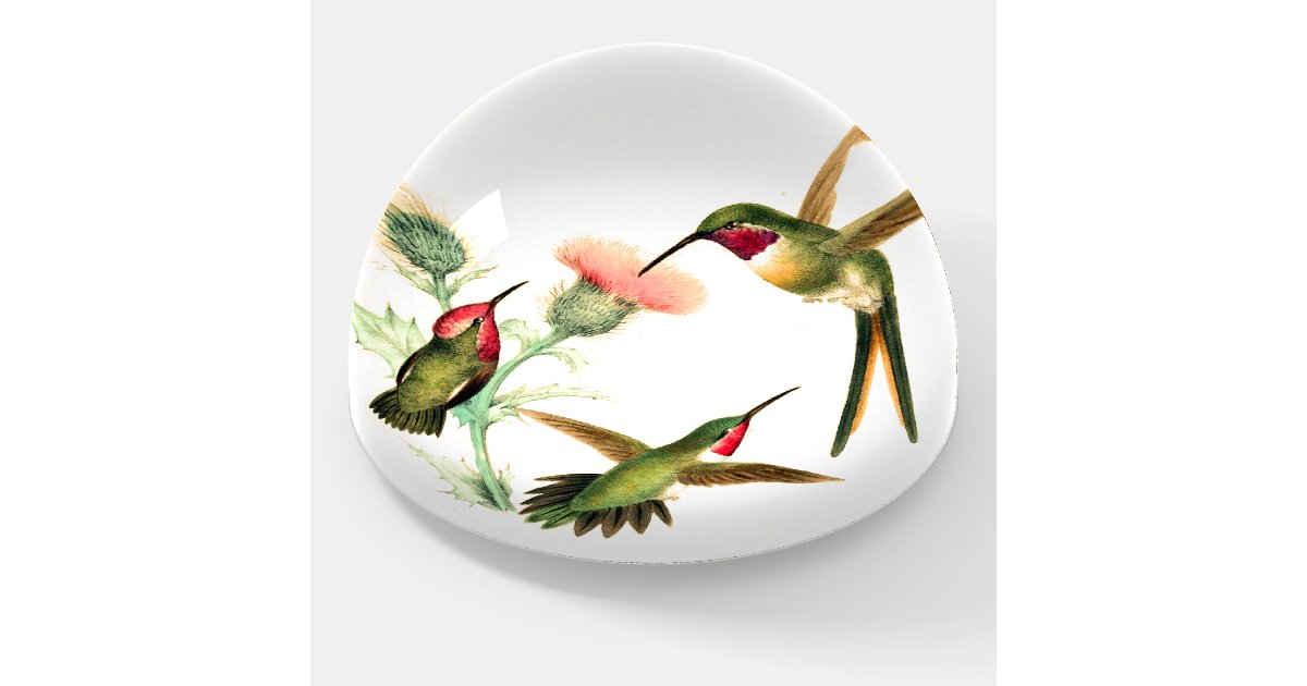 Hummingbird Birds Wildlife Flower Paperweight | Zazzle