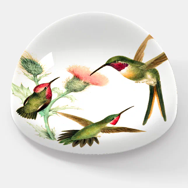 Hummingbird Birds Wildlife Flower Paperweight | Zazzle