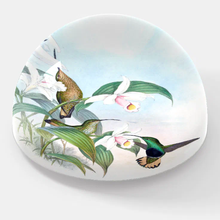 Hummingbird Birds Wildlife Flower Paperweight | Zazzle