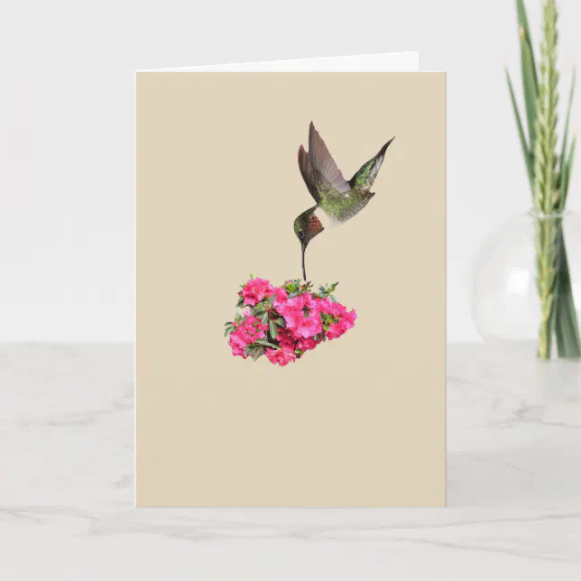 Hummingbird Birthday Card | Zazzle