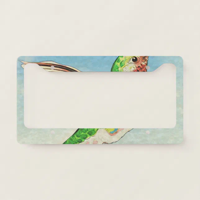 Hummingbird Blue Art License Plate Frame | Zazzle