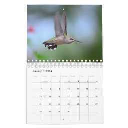 Hummingbird Calendar | Zazzle