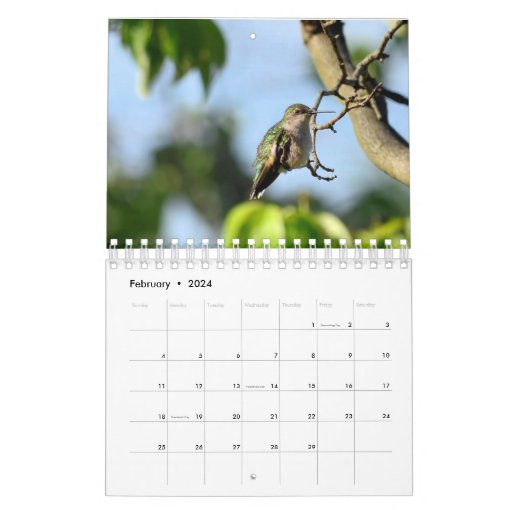 Hummingbird Calendar | Zazzle