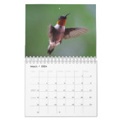 Hummingbird Calendar | Zazzle