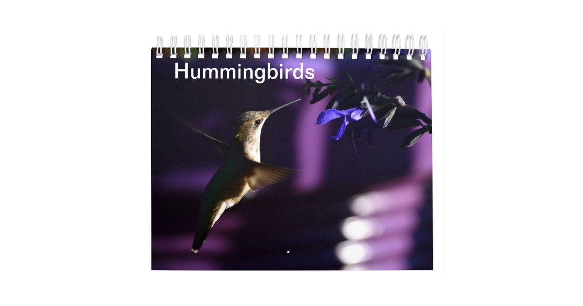 Hummingbird Calendar | Zazzle