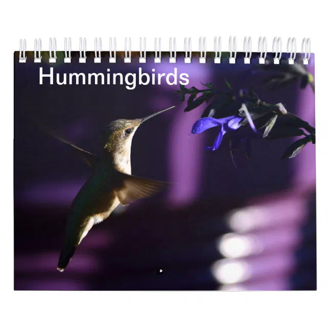 Hummingbird Calendar | Zazzle