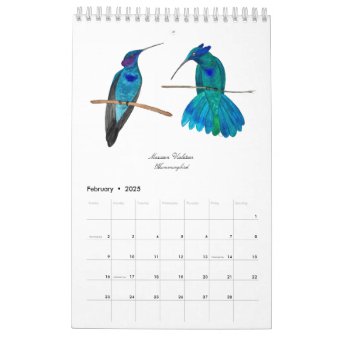 Hummingbird Calendar | Zazzle