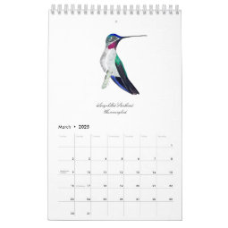 Hummingbird Calendar | Zazzle