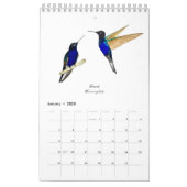 Hummingbird Calendar | Zazzle
