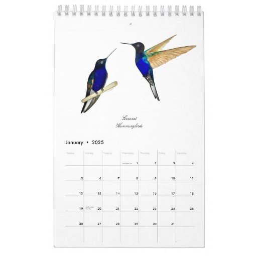 Hummingbird Calendar | Zazzle